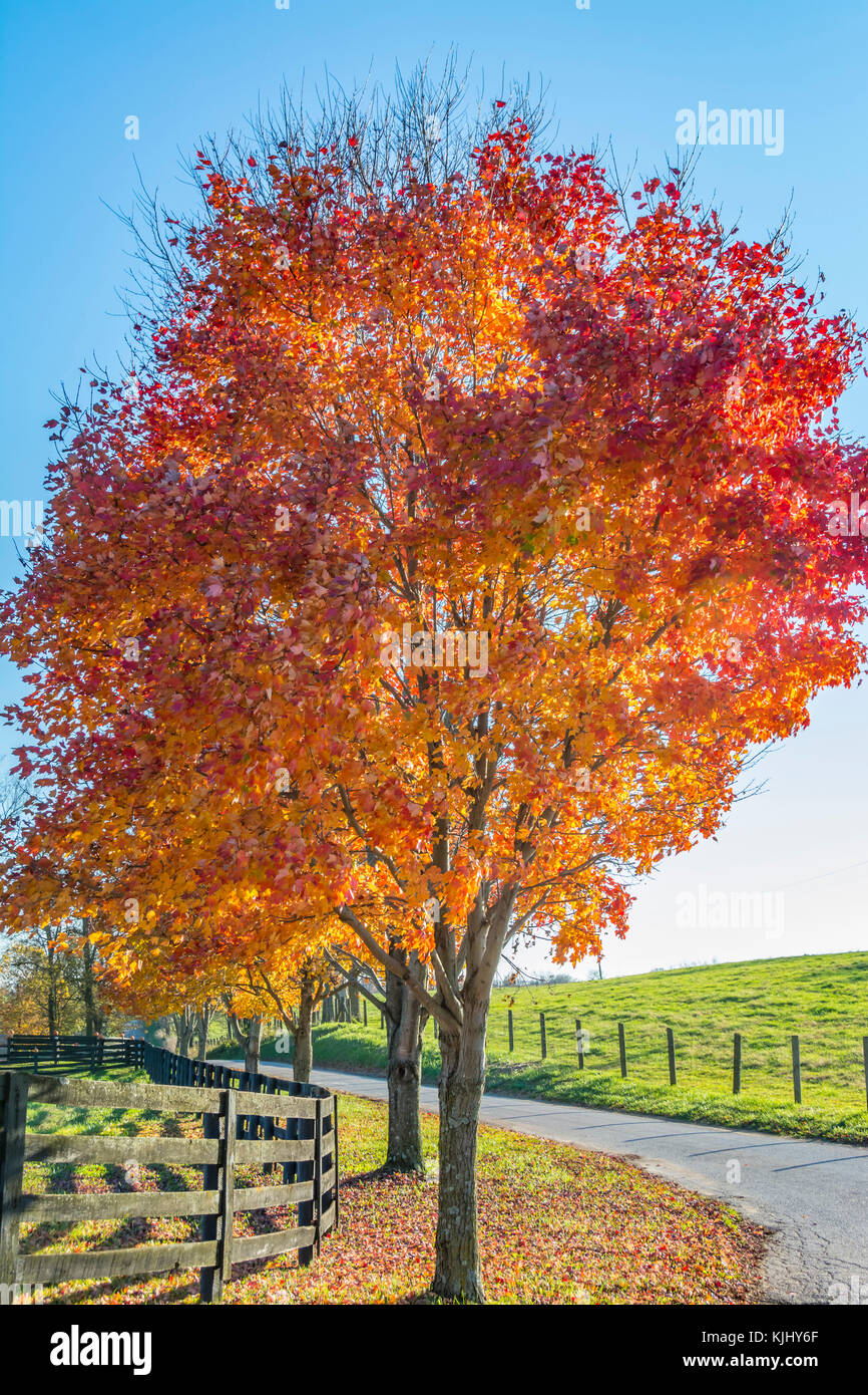 American autumn hi-res stock photography and images - Alamy
