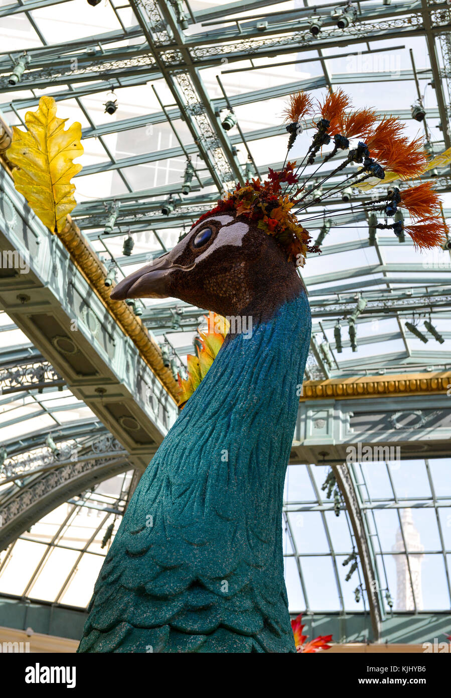 The peacocks take center stage in the rotunda at the Bellagio Fall Show ...