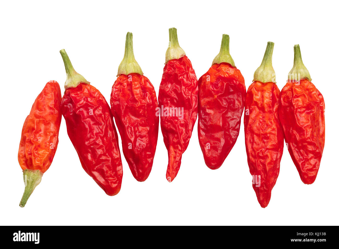 Dried Tabasco chile peppers (Capsicum frutescens pods). Top view ...