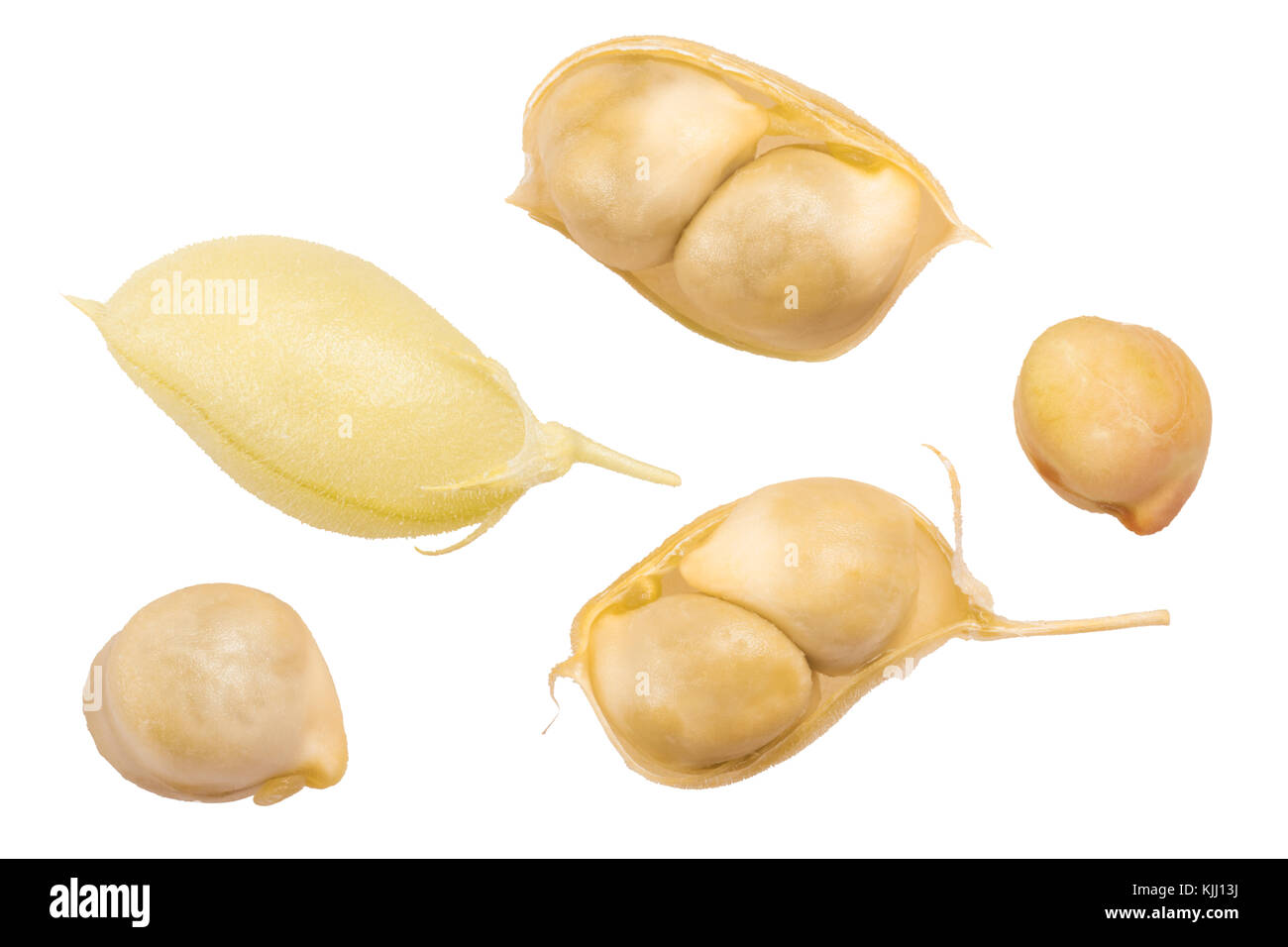 Kabuli Chickpeas (Cicer arietinum), top view. Pods, whole and split ...