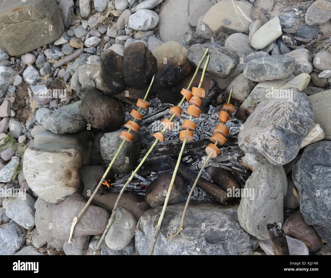 bonfire with stones to cook wurstel flavors during the boy scout camp ...