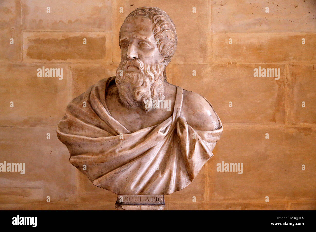 Esculape hi-res stock photography and images - Alamy