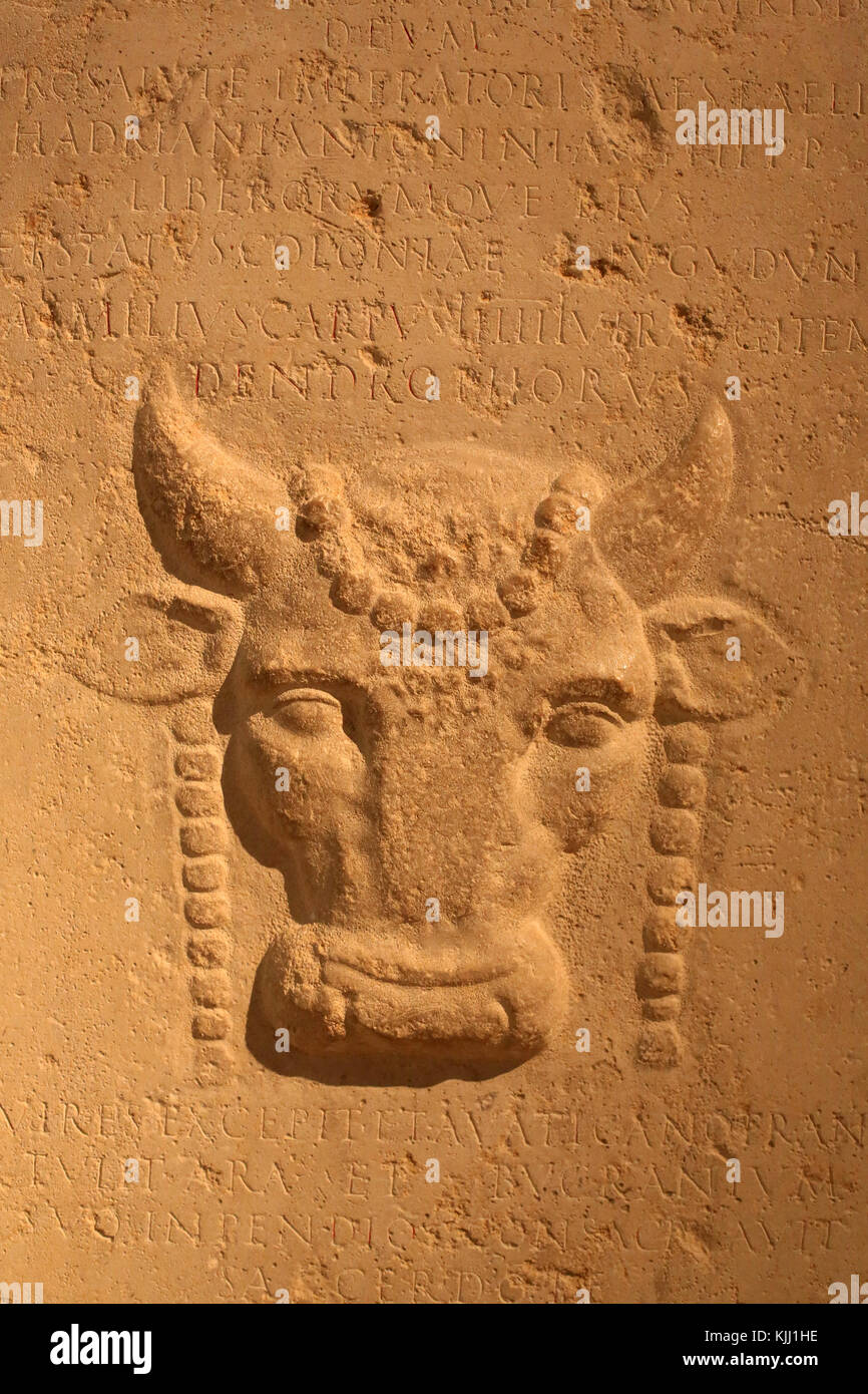 Bull sacrifice hi-res stock photography and images - Alamy