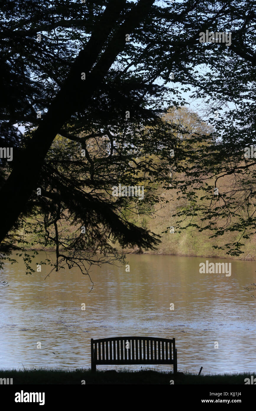 Empty lake hi-res stock photography and images - Alamy