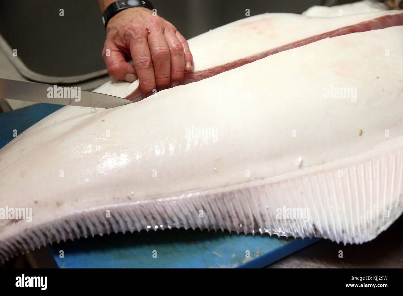 Restaurant fresh fish hi-res stock photography and images - Alamy