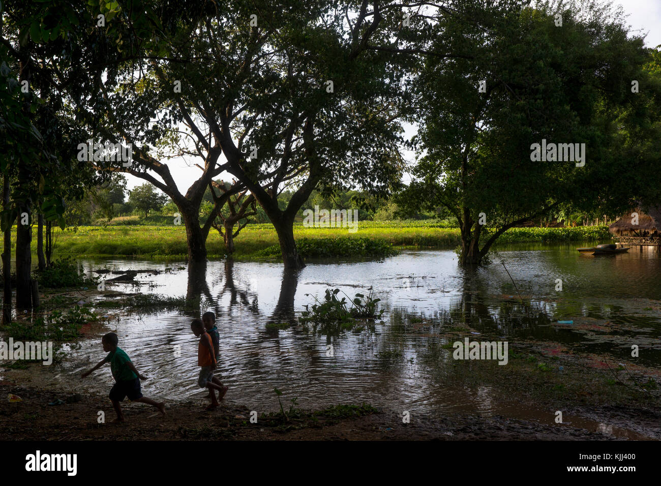 Children wading out of a pond. Cambodia Stock Photo - Alamy