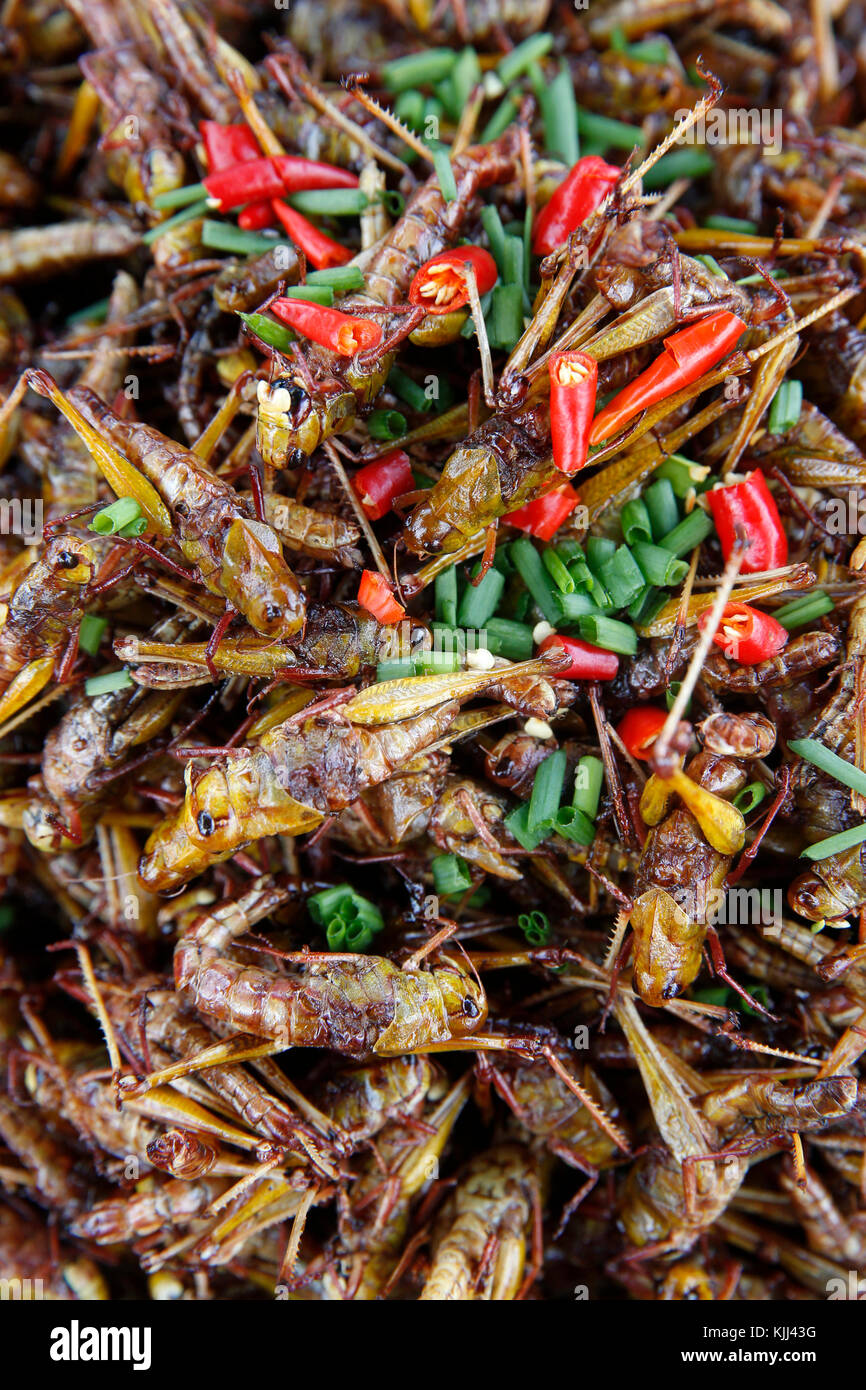 Insect market cambodia hi-res stock photography and images - Alamy