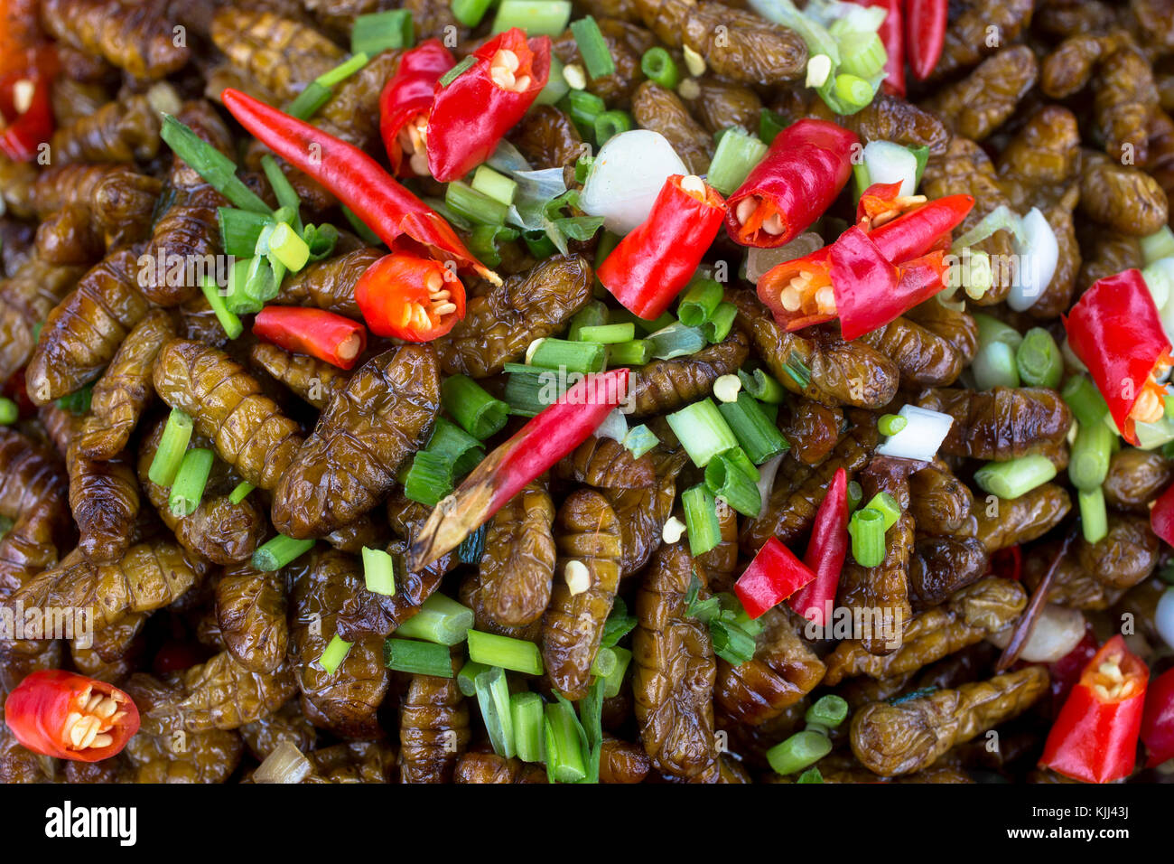 Cooked insects displayed at a Battambang market. Cambodia Stock Photo ...