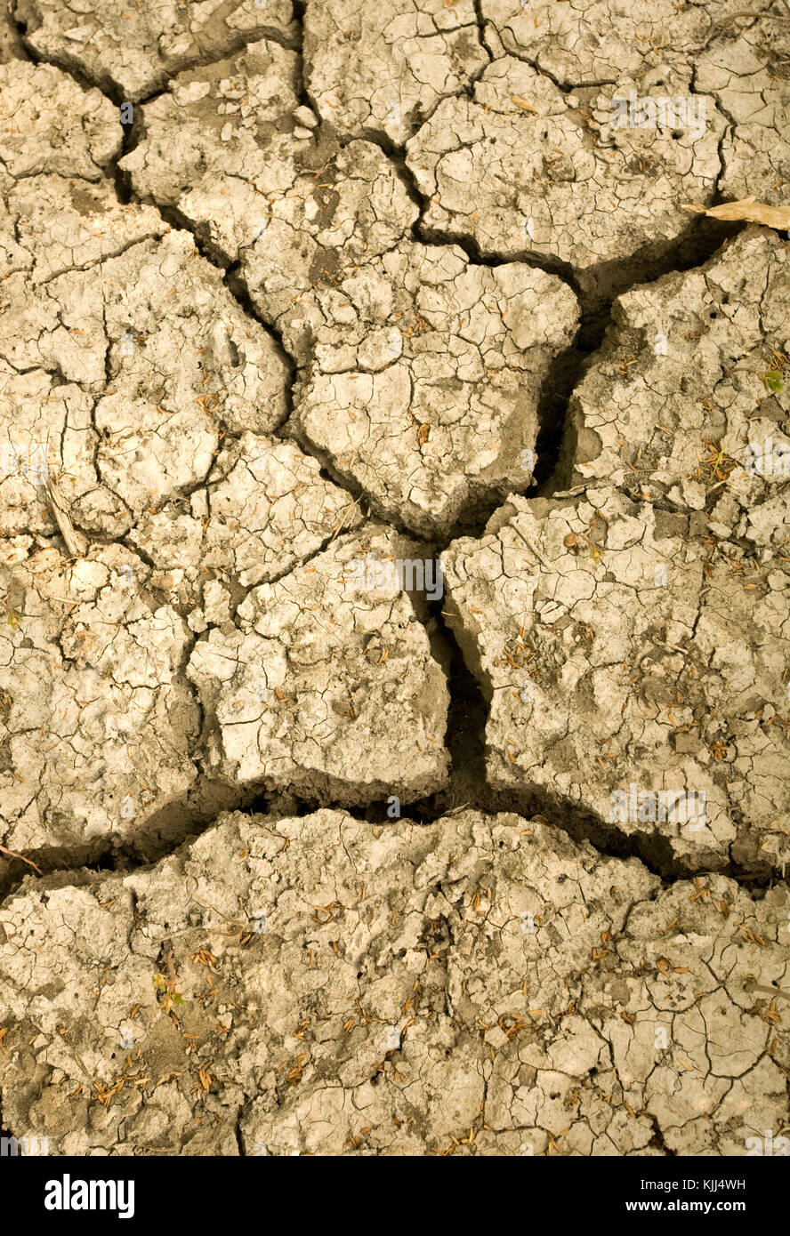 Arid soil hi-res stock photography and images - Alamy