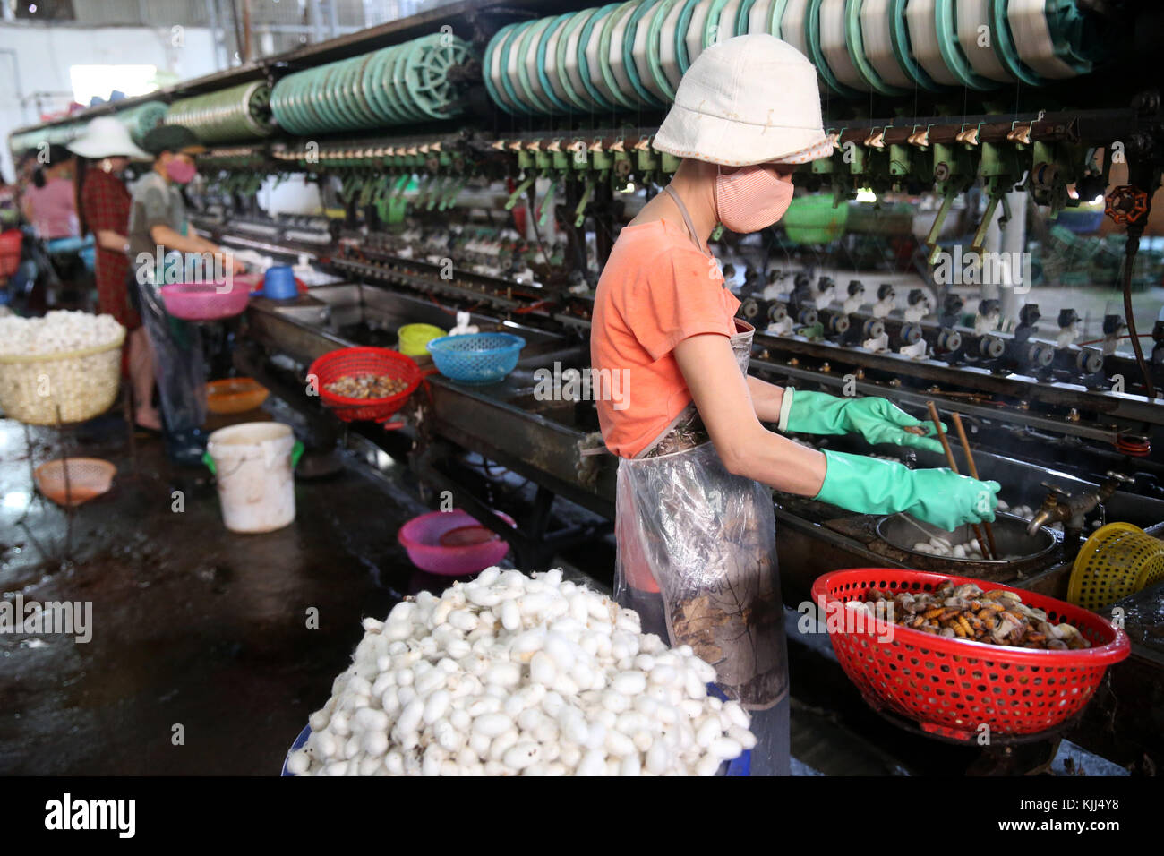 Traditional silk factory. Woman working on silk spinning machine. Dalat ...