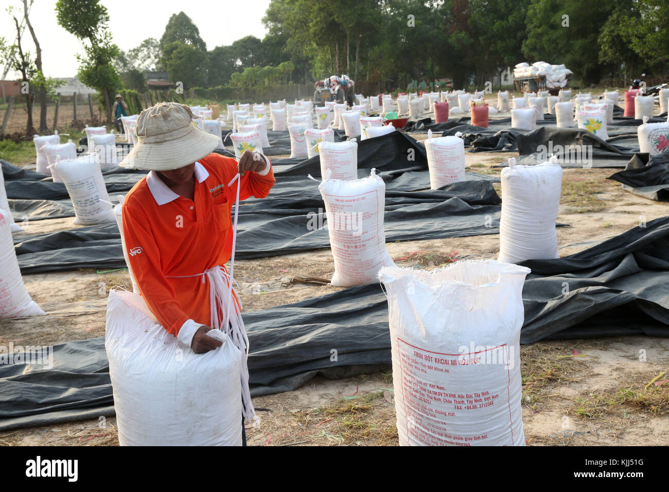 1 man harvesting hi-res stock photography and images - Alamy