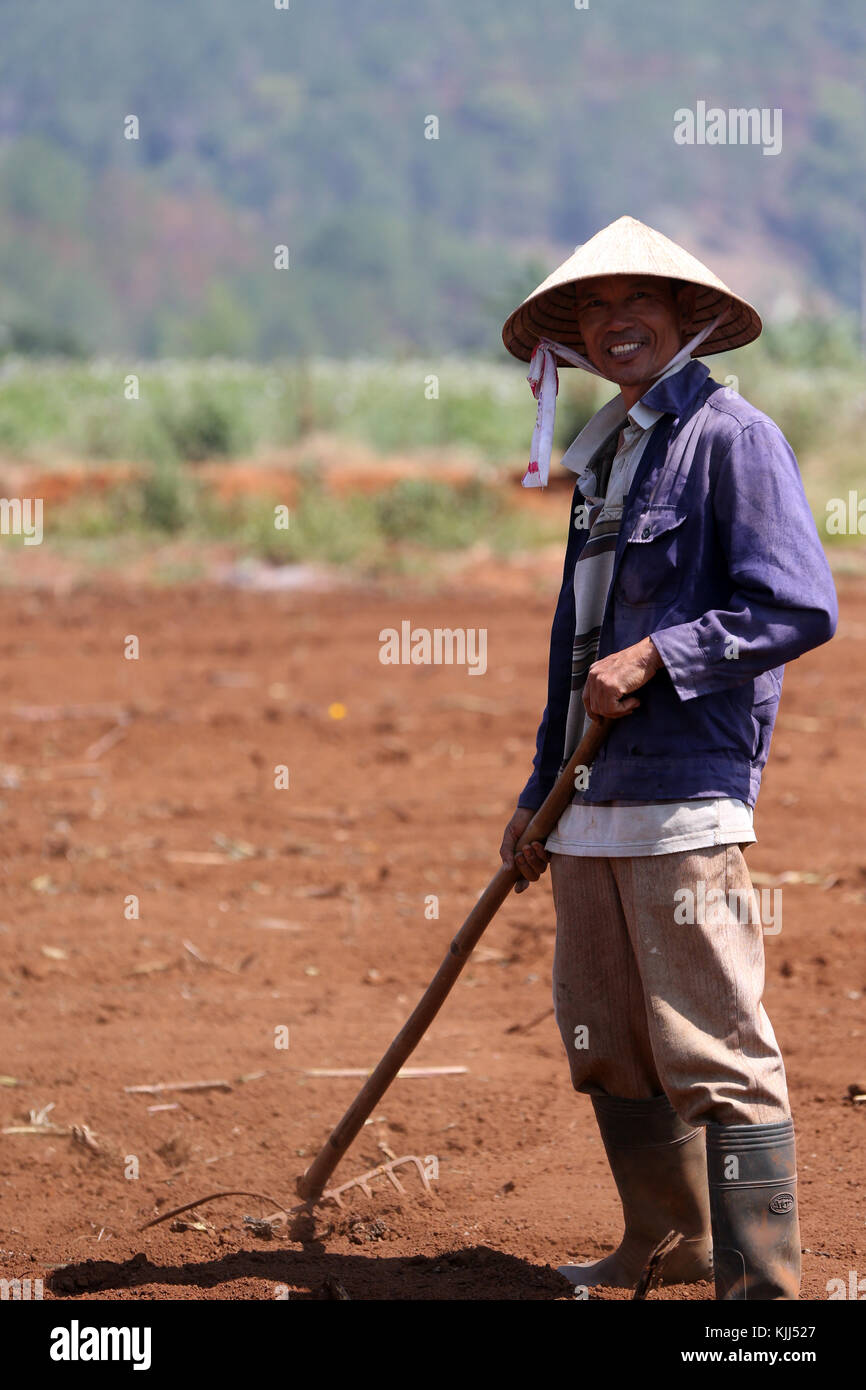 Vietnamese farmer working in his field. Dalat. Vietnam Stock Photo - Alamy