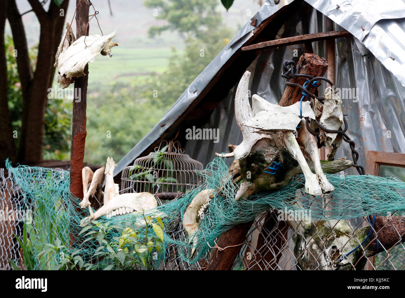 Group graves hi-res stock photography and images - Alamy