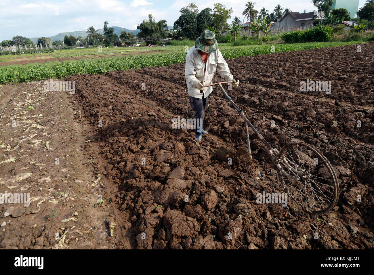 Agricultural Labourer High Resolution Stock Photography and Images - Alamy