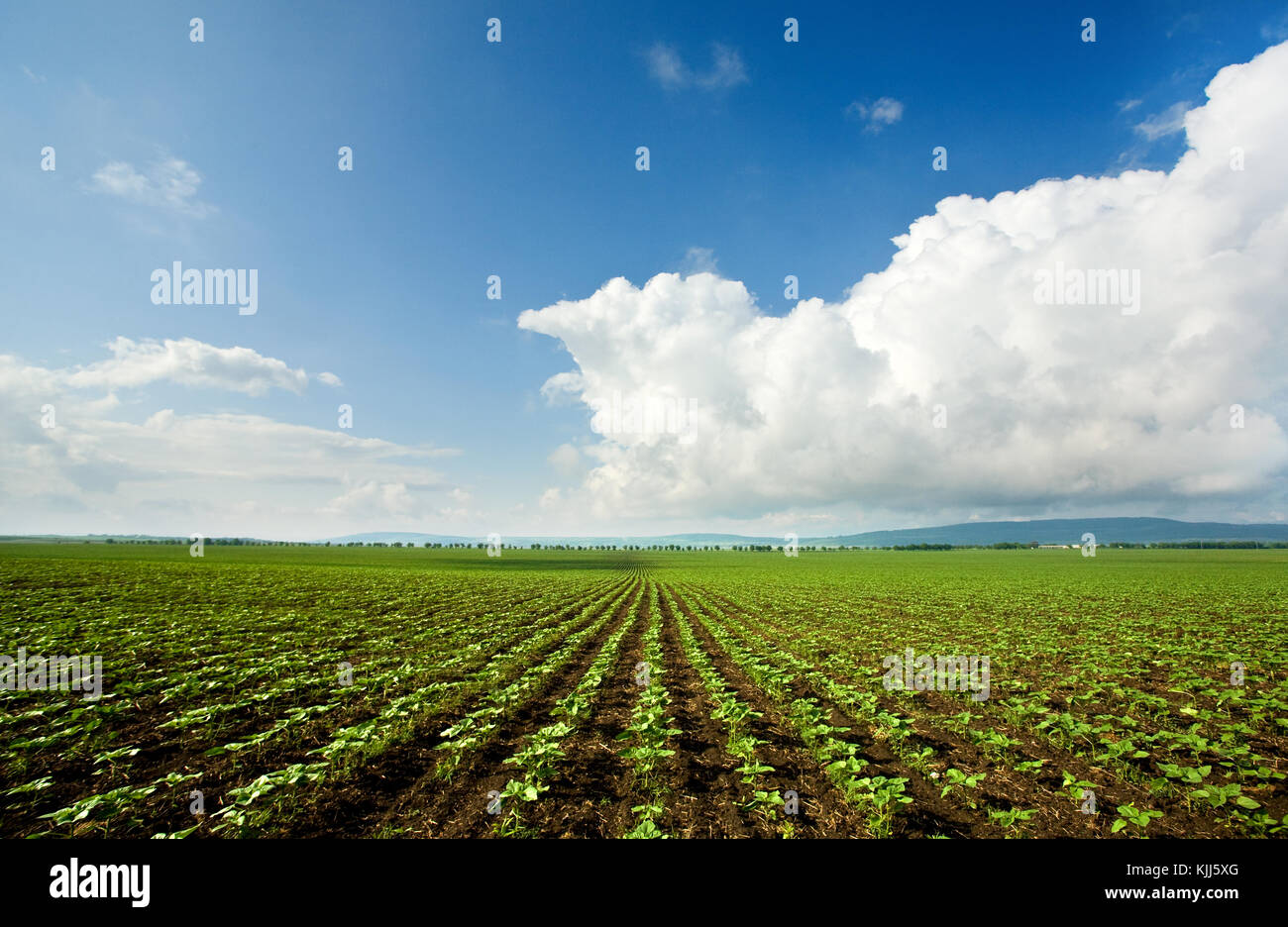 Agriculture Wallpaper Backgrounds