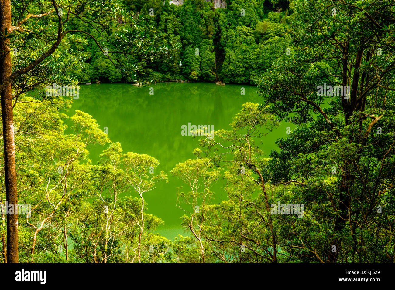Congro lagoon hi-res stock photography and images - Alamy