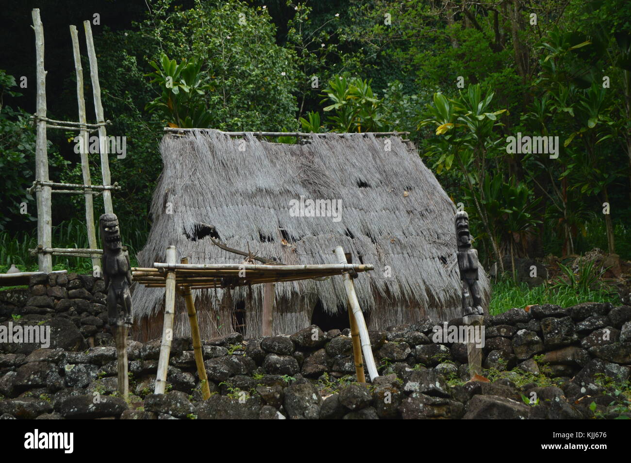 Indigenous Payoza Hawaiian. Oahu, Hawaii, USA, EEUU Stock Photo - Alamy