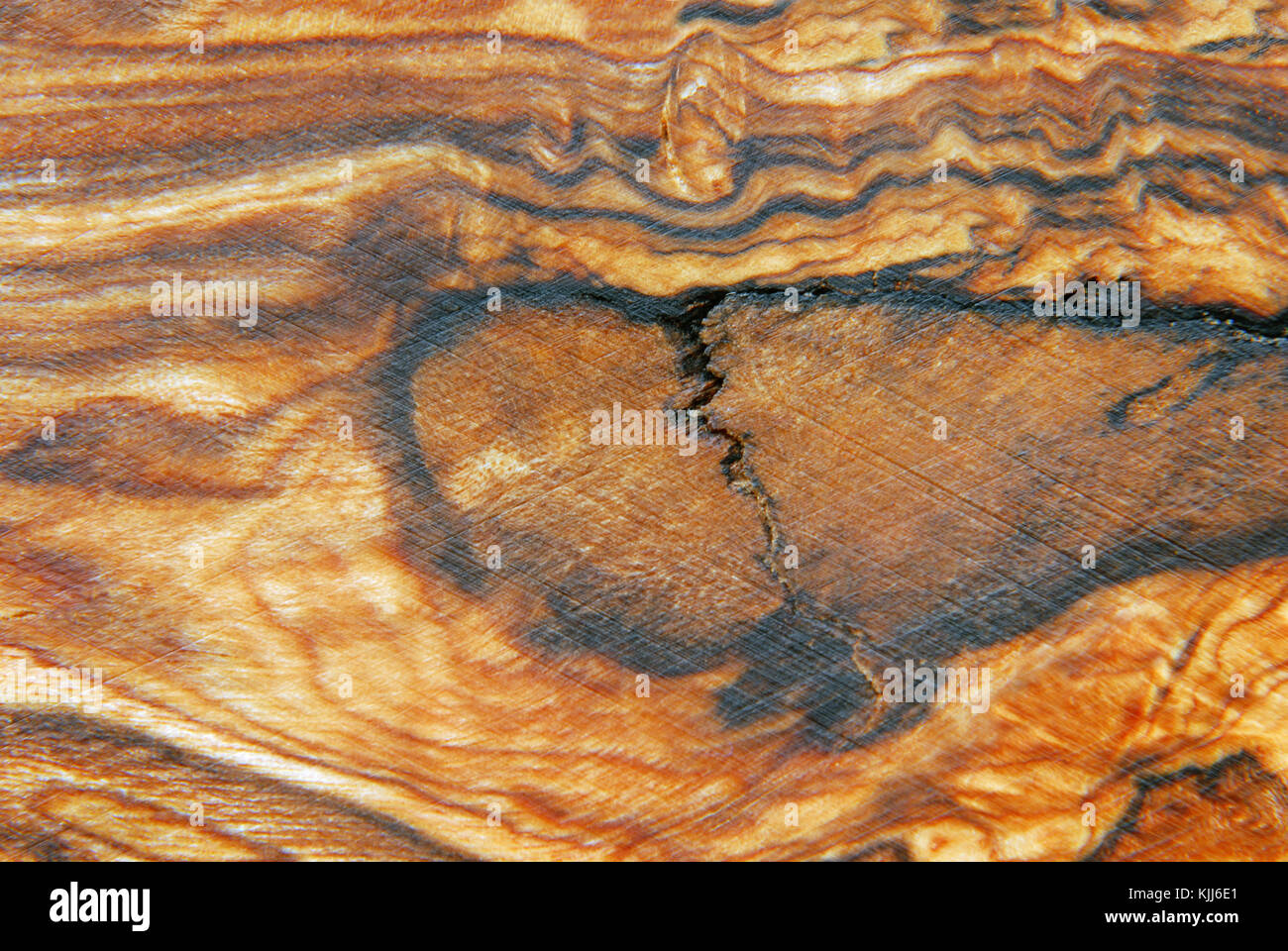 closeup of the olive tree texture background Stock Photo - Alamy