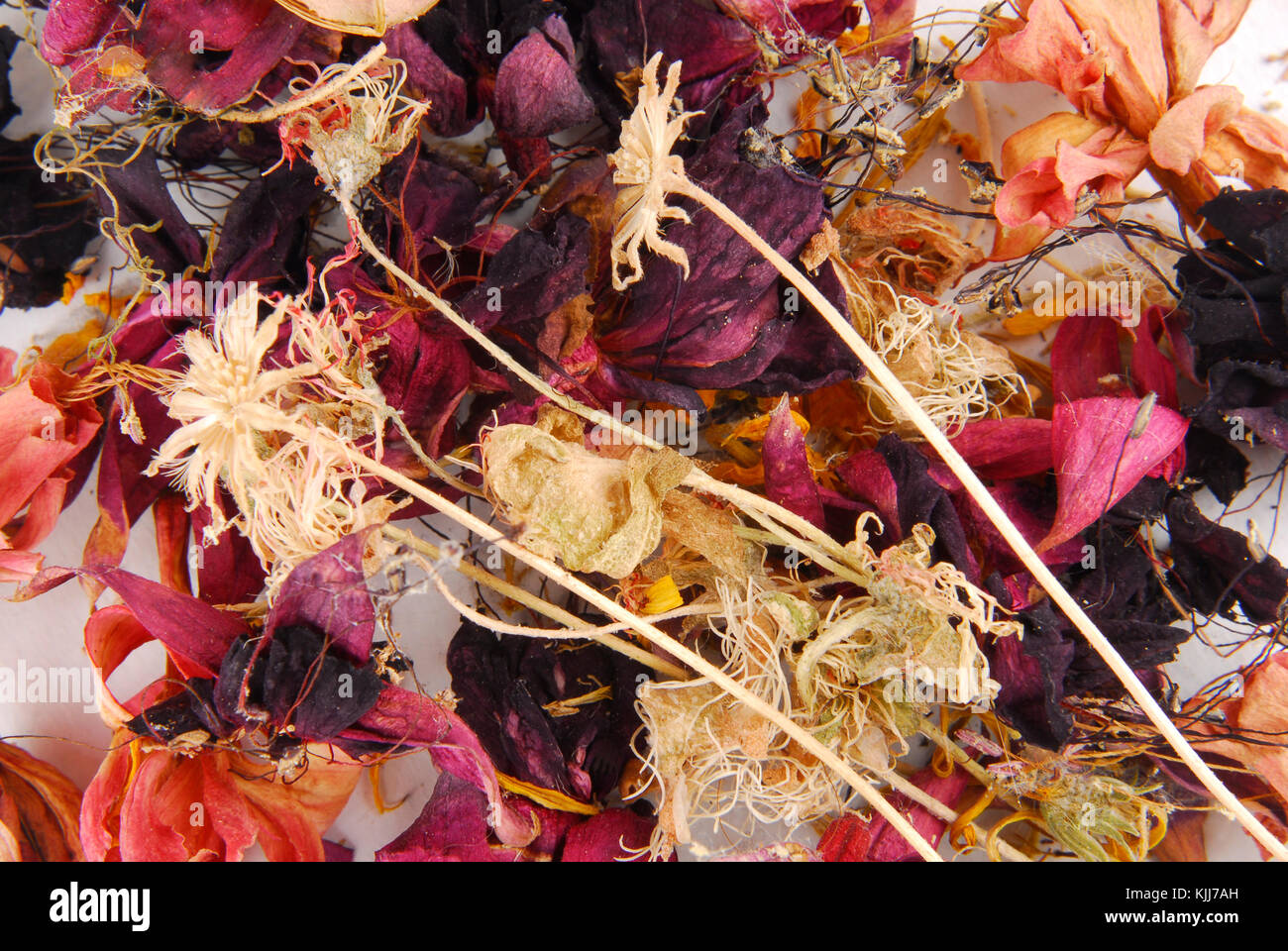 close up of the dried flower background Stock Photo - Alamy