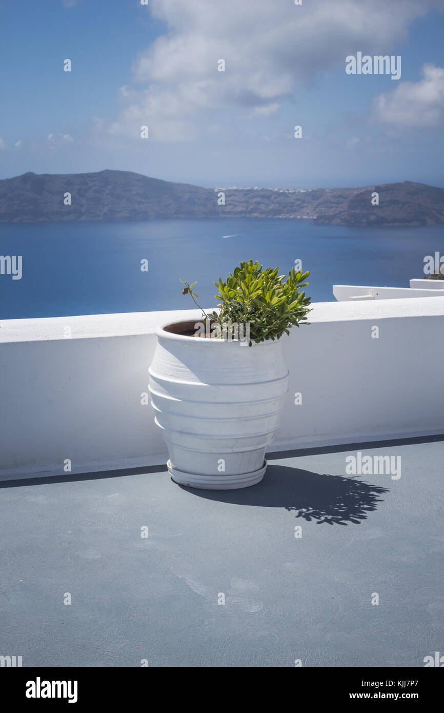 Greek pot plant hi-res stock photography and images - Alamy