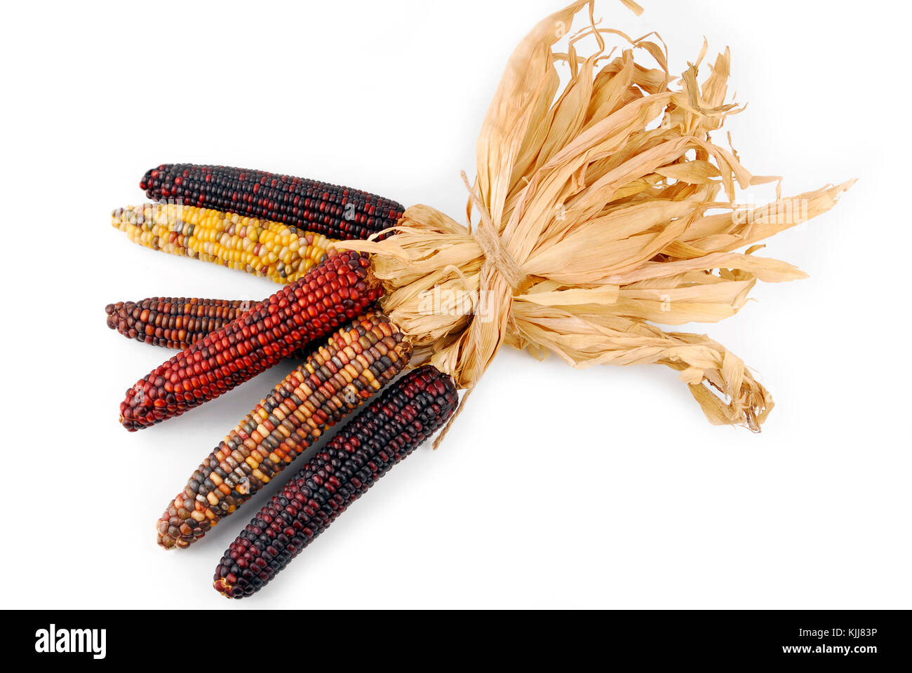 Native indian corn Cut Out Stock Images & Pictures - Alamy