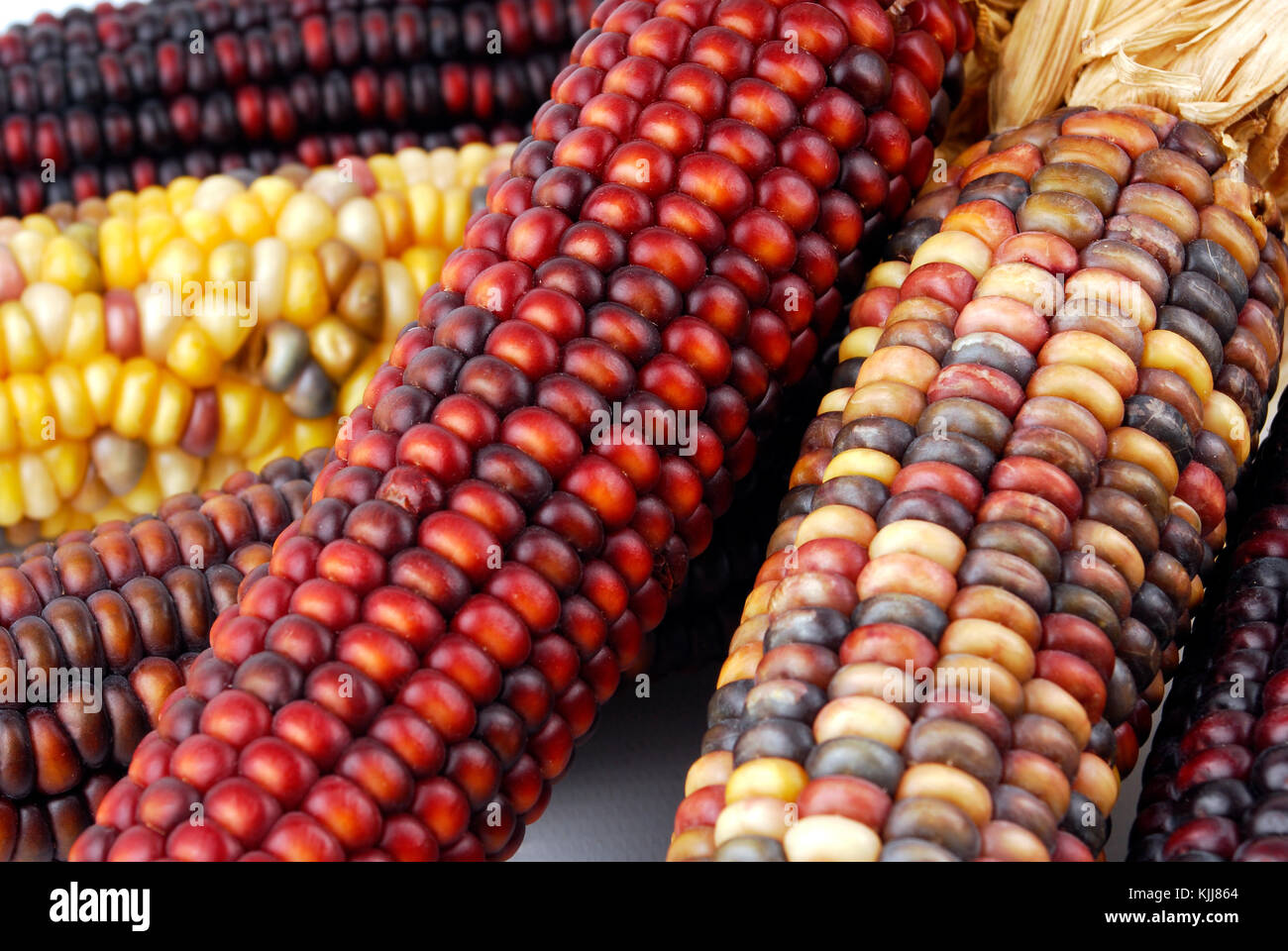 Corncob stack hi-res stock photography and images - Alamy