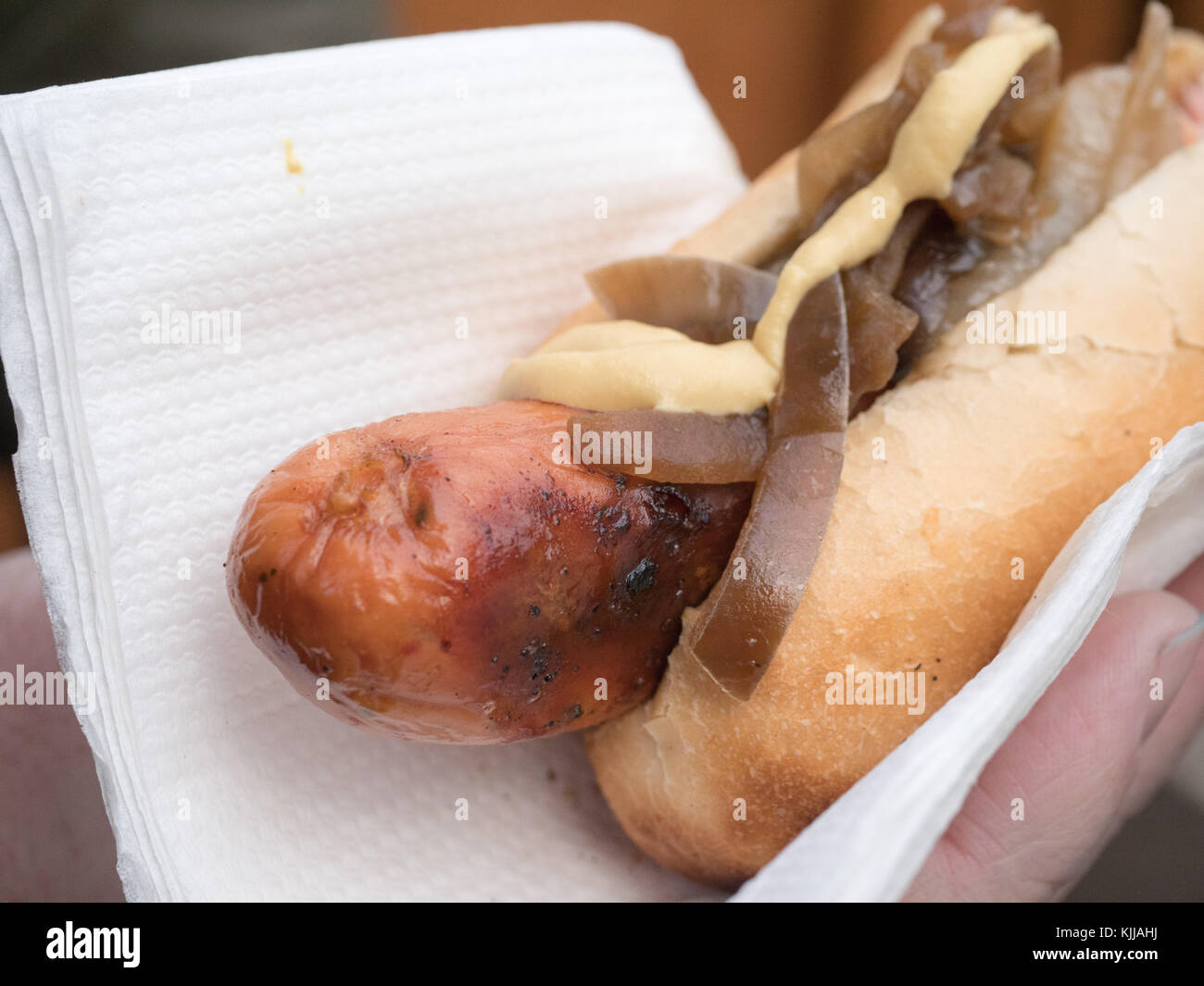 Sausage Dog Christmas Stock Photos & Sausage Dog Christmas Stock Images ...