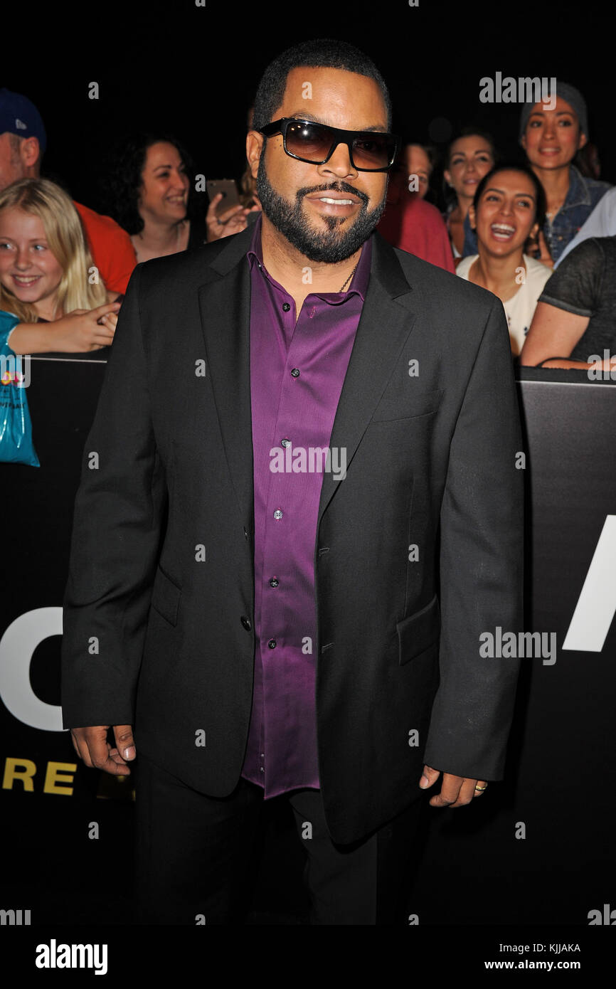 MIAMI BEACH, FL - JANUARY 06: Ice Cube attends World Premiere Of 'Ride ...