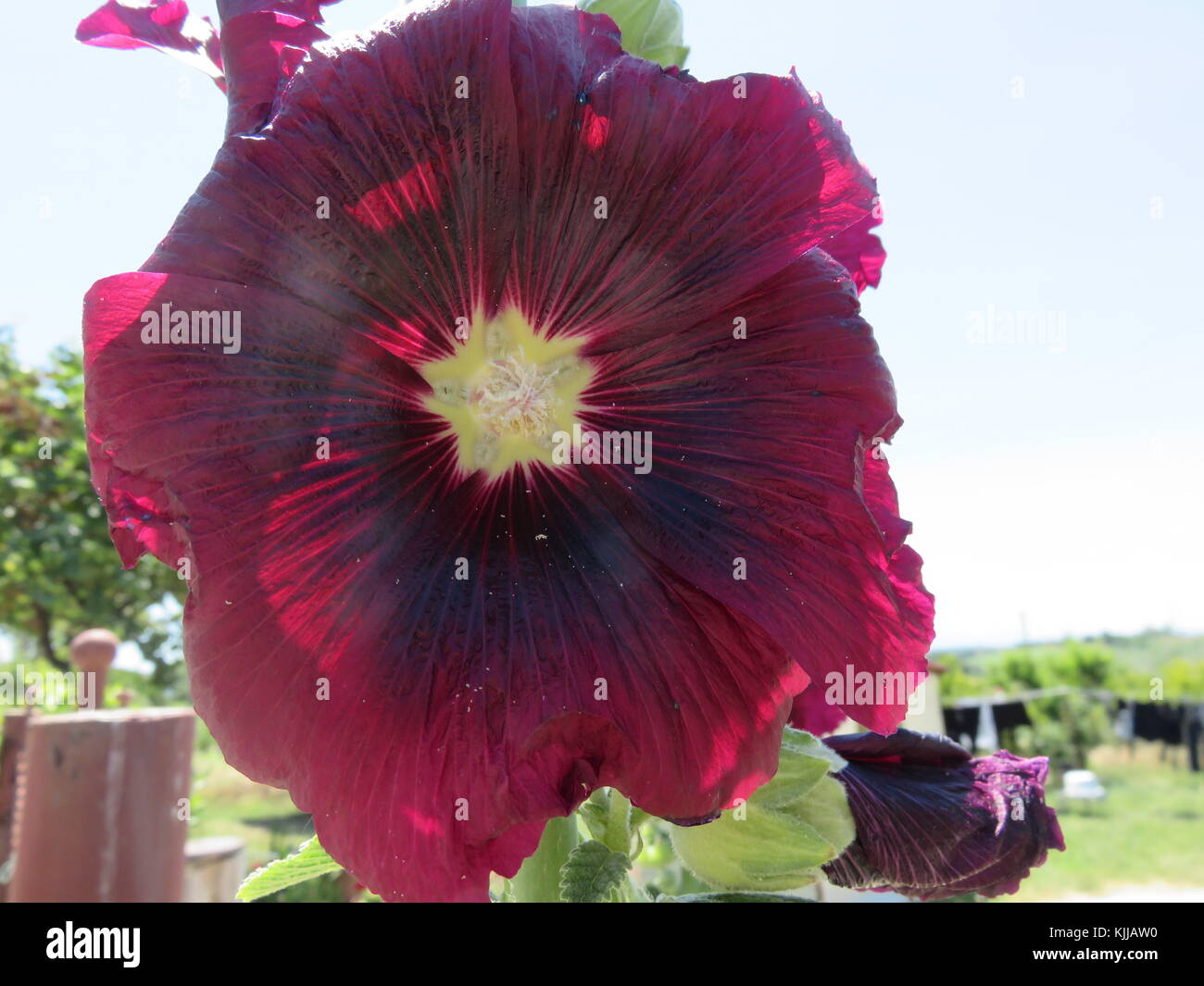 O colore hi-res stock photography and images - Alamy