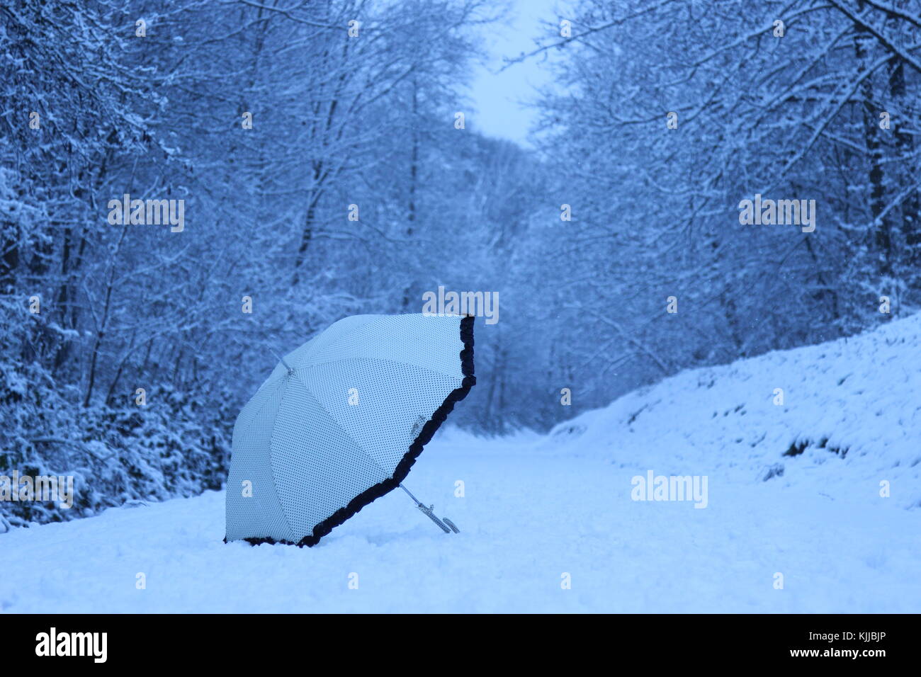 Red umbrella winter snow hi-res stock photography and images - Alamy