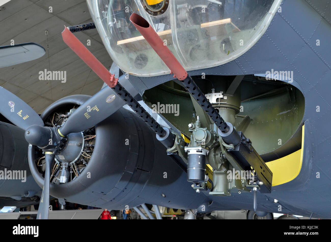 Front .50 calibre 12.7mm machine guns, B-17G Flying Fortress, American ...