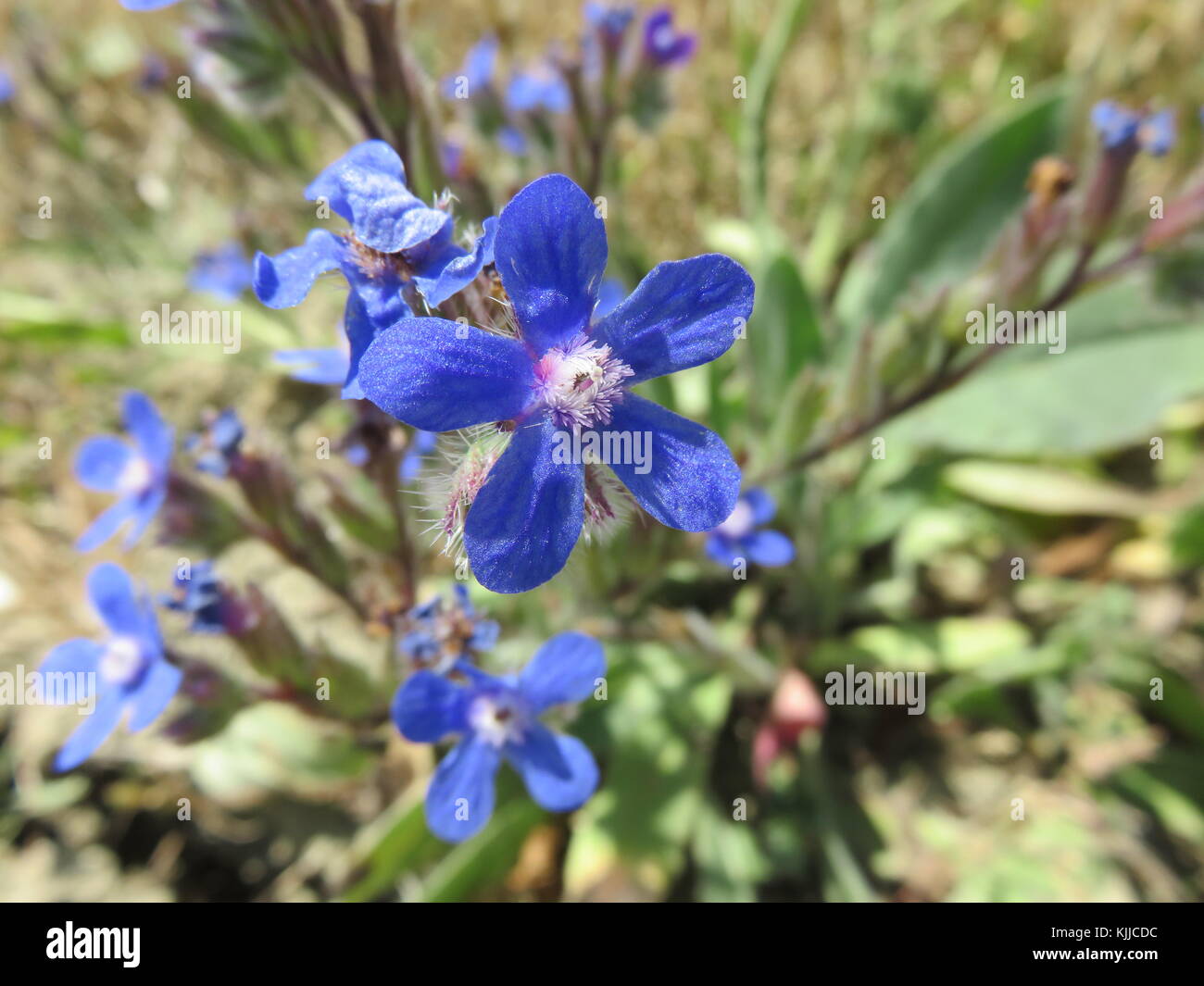 O colore hi-res stock photography and images - Alamy