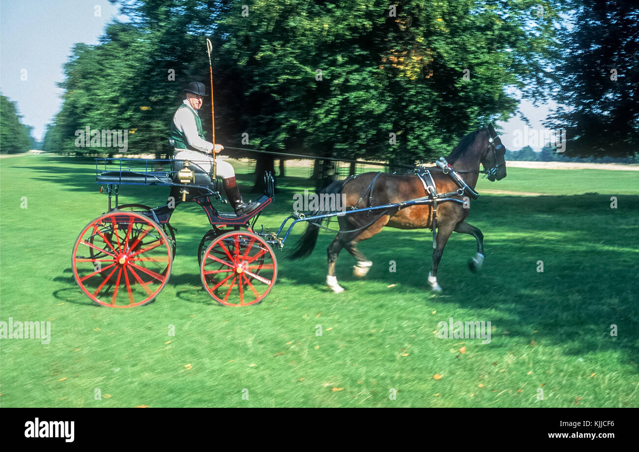 Horse drawn carriage london hi-res stock photography and images - Alamy