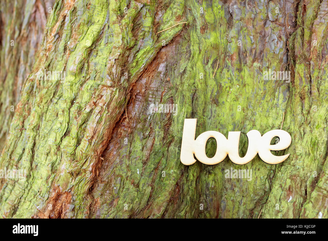 Wooden love sign on tree trunk background Stock Photo - Alamy