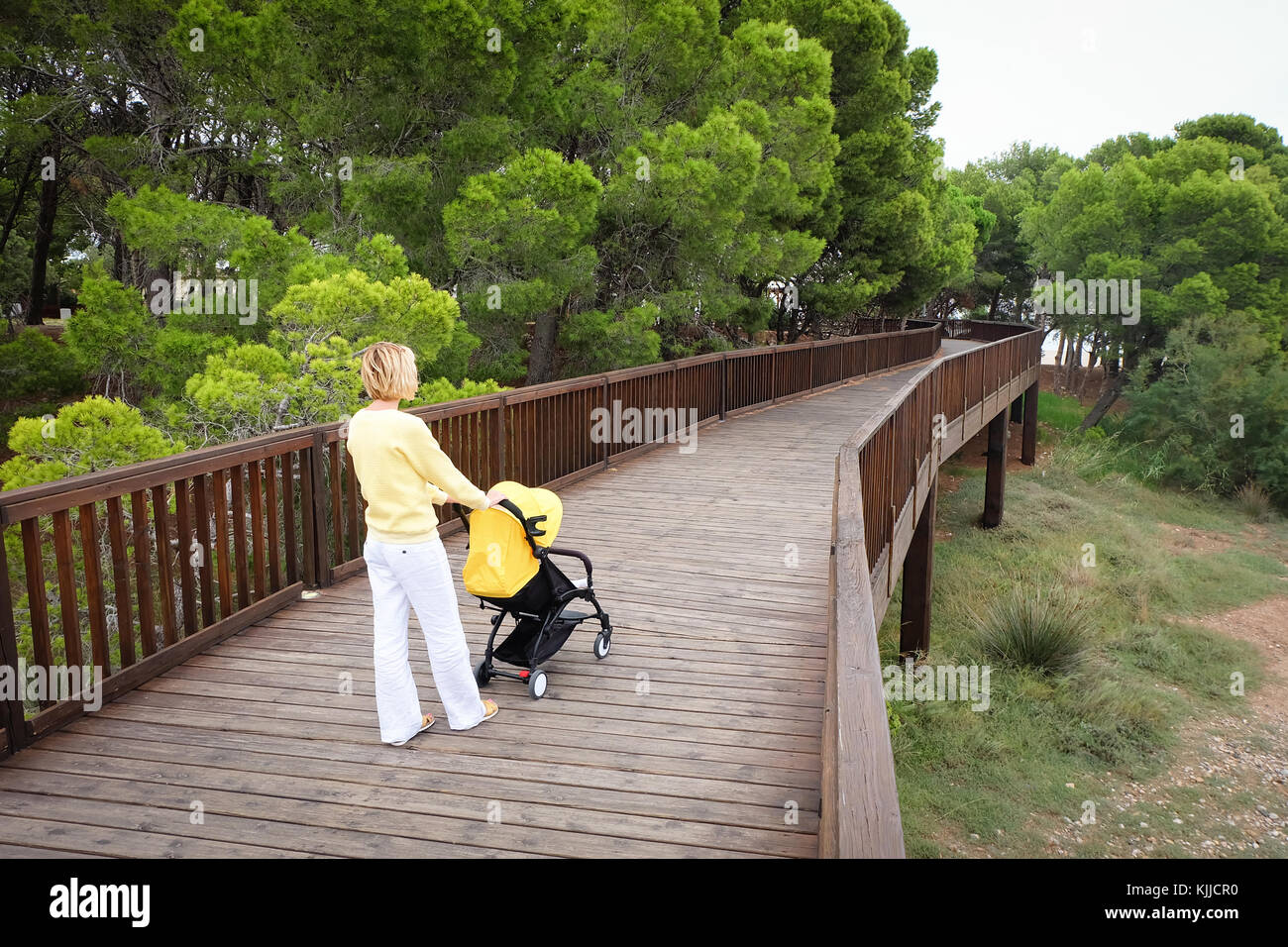 Mother pushing a stroller in the park Stock Photo - Alamy