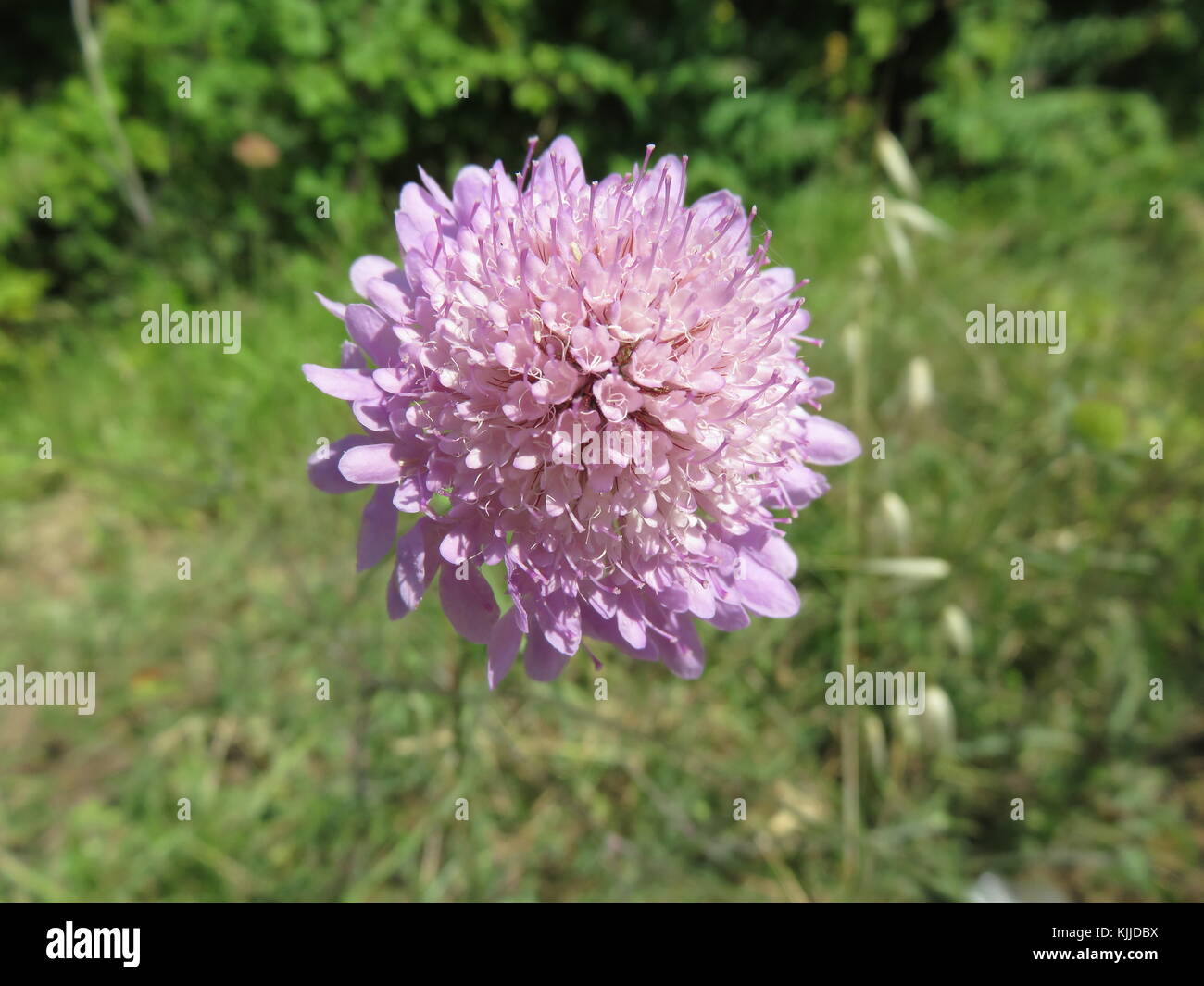 O colore hi-res stock photography and images - Alamy