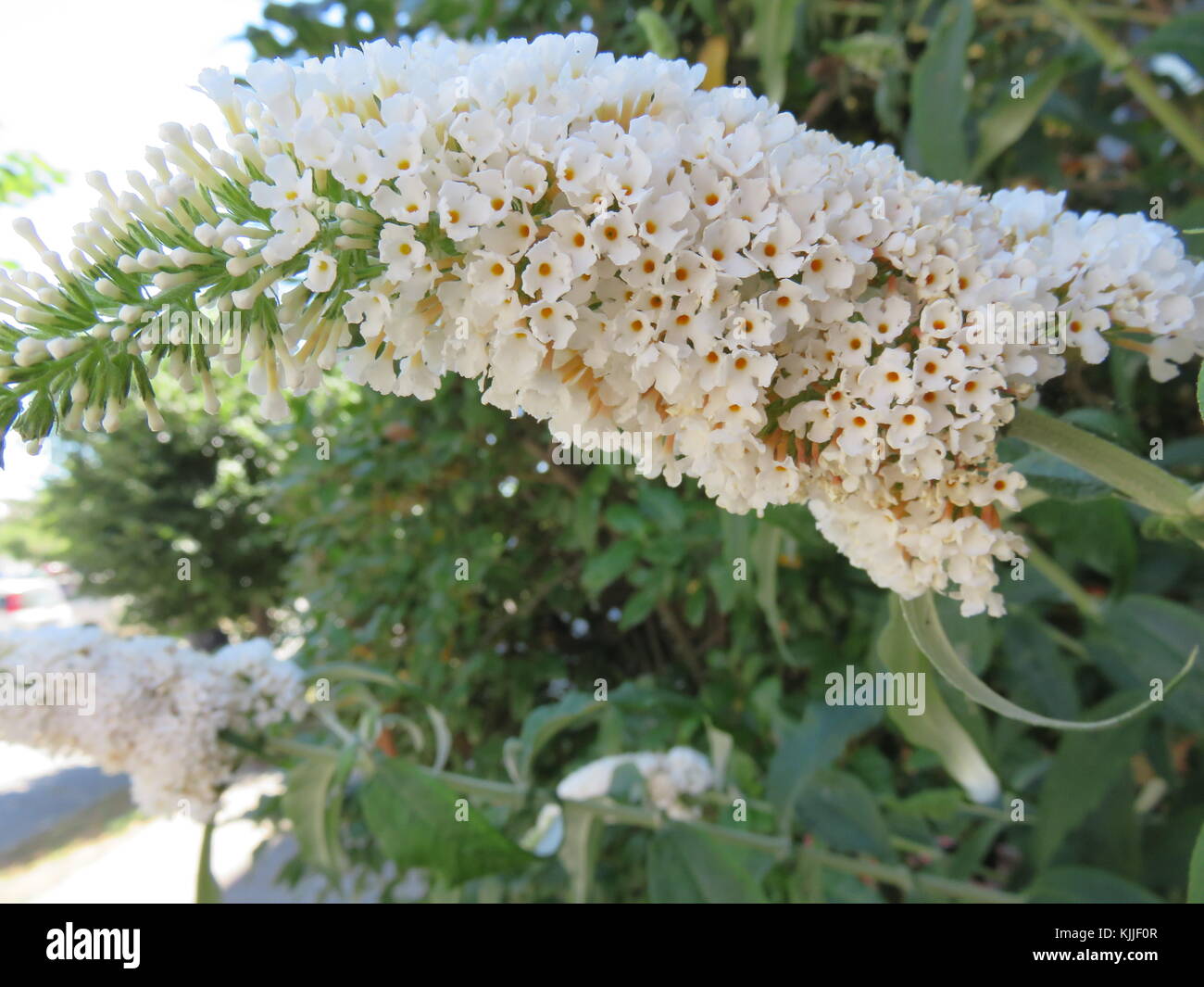 O colore hi-res stock photography and images - Alamy