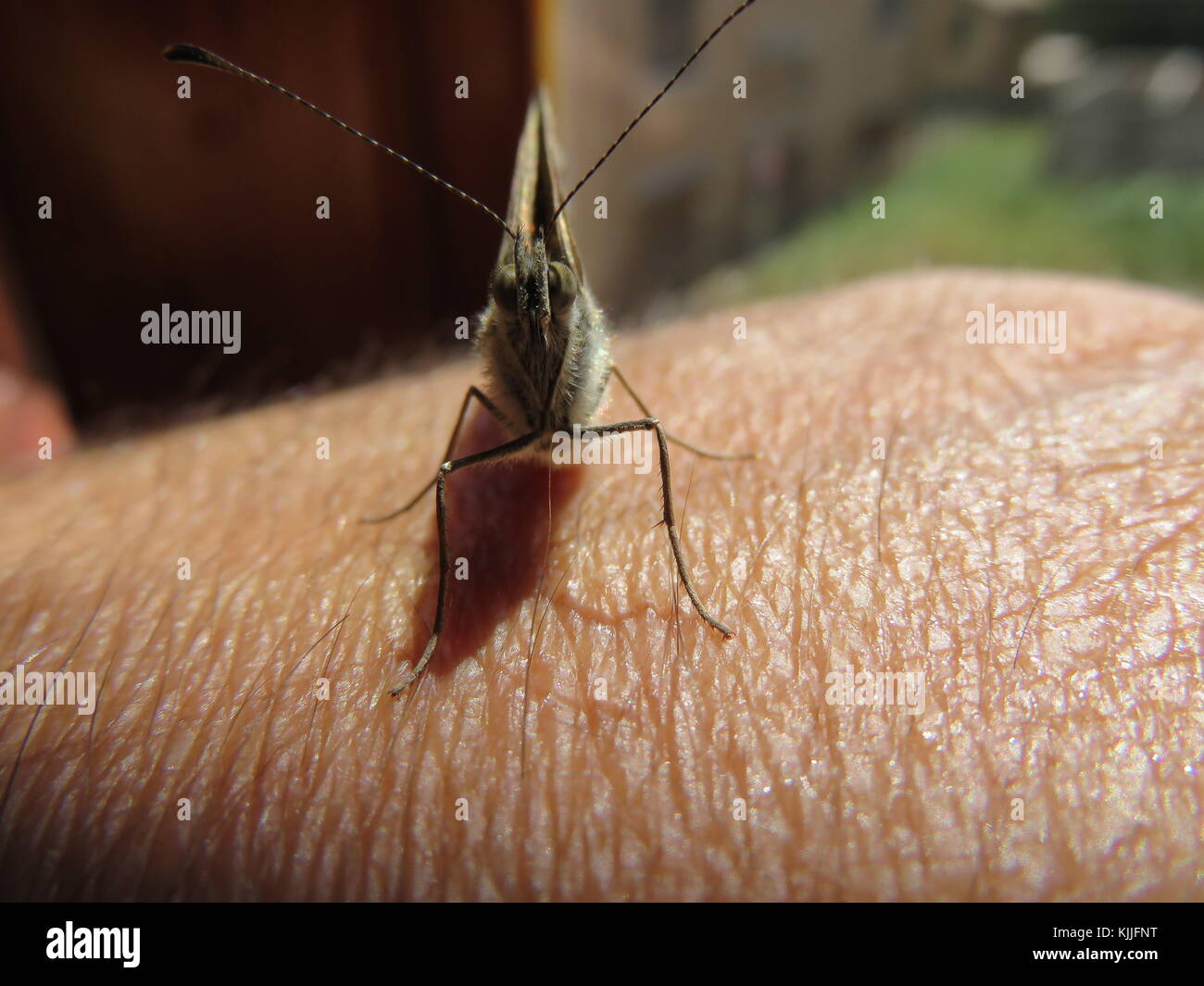 Devi e hi-res stock photography and images - Alamy