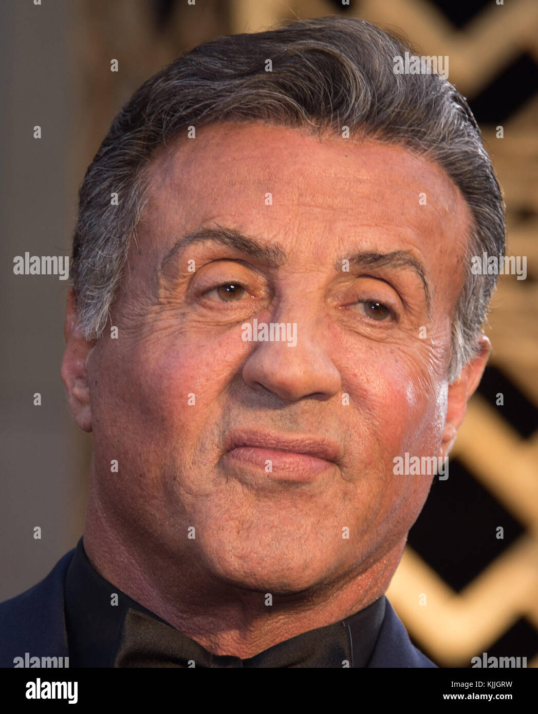 HOLLYWOOD, CA - FEBRUARY 28: Sylvester Stallone attends the 88th Annual ...
