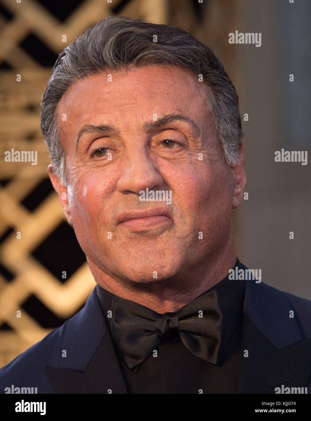 HOLLYWOOD, CA - FEBRUARY 28: Sylvester Stallone attends the 88th Annual ...