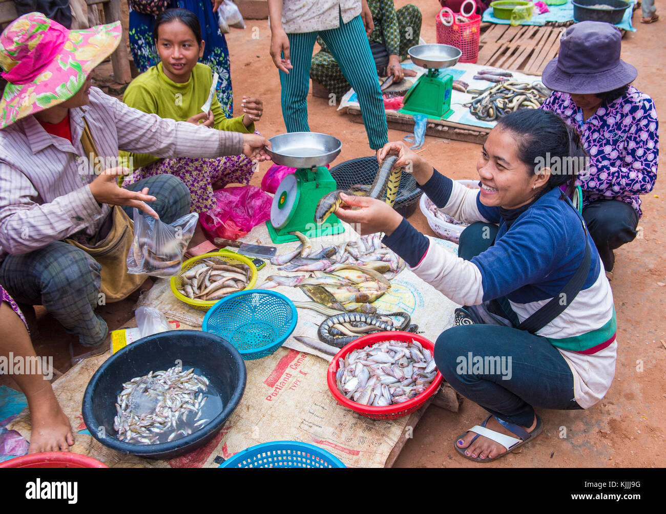 Cambodian woman selling snakes in a market in Siem Reap Cambodia Stock ...