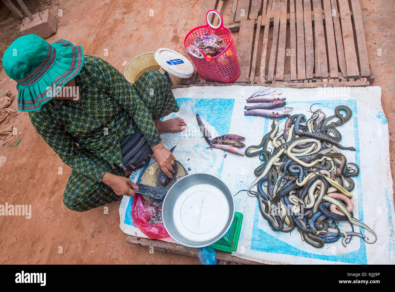 Cambodian woman selling snakes in a market in Siem Reap Cambodia Stock ...