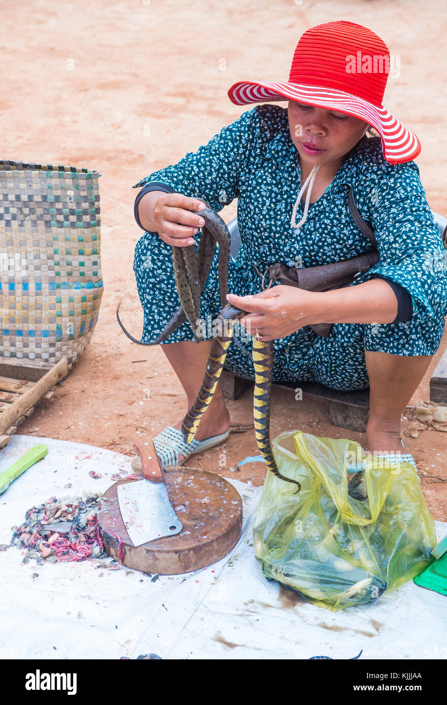 Cambodian woman selling snakes in a market in Siem Reap Cambodia Stock ...