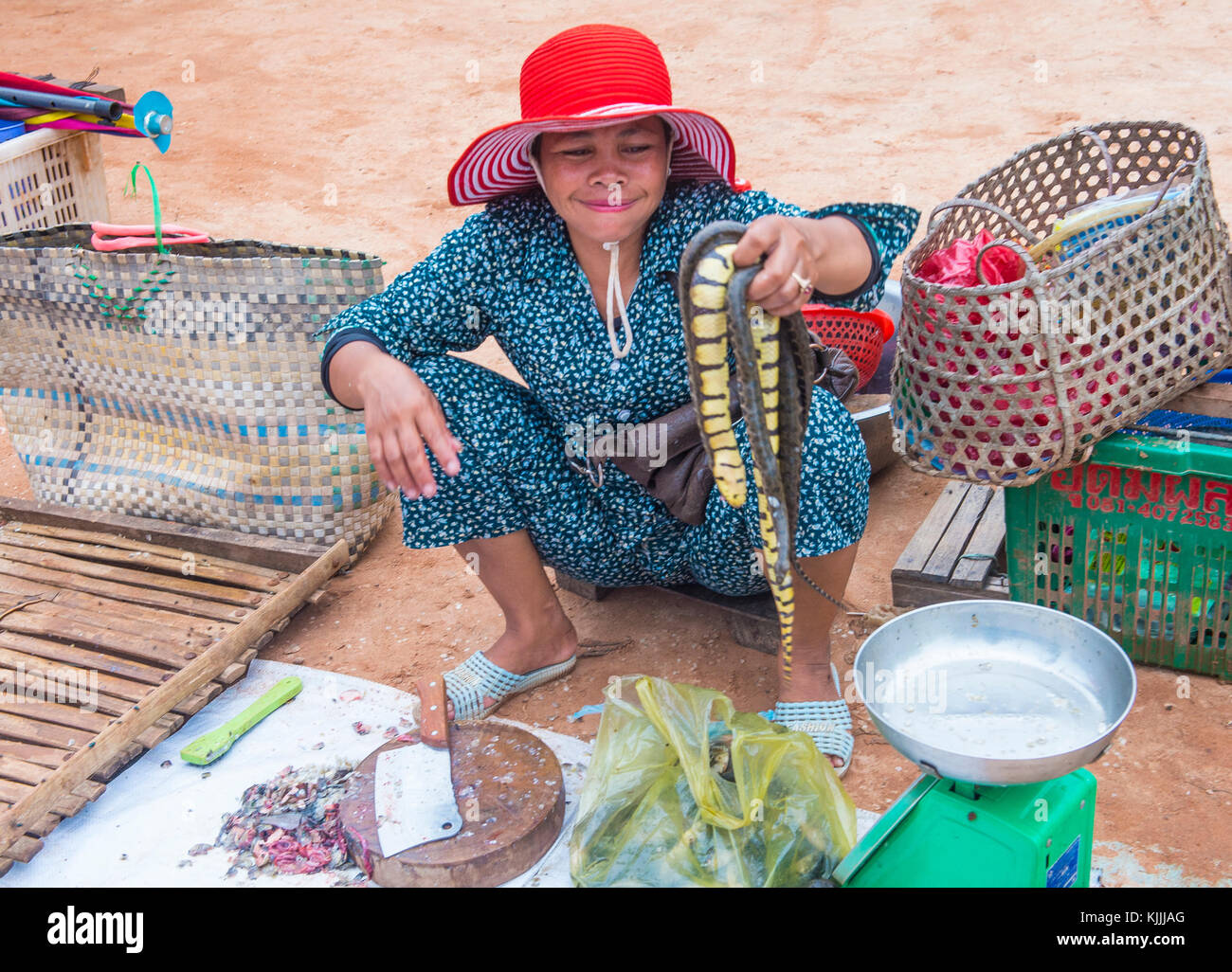Cambodian woman selling snakes in a market in Siem Reap Cambodia Stock ...