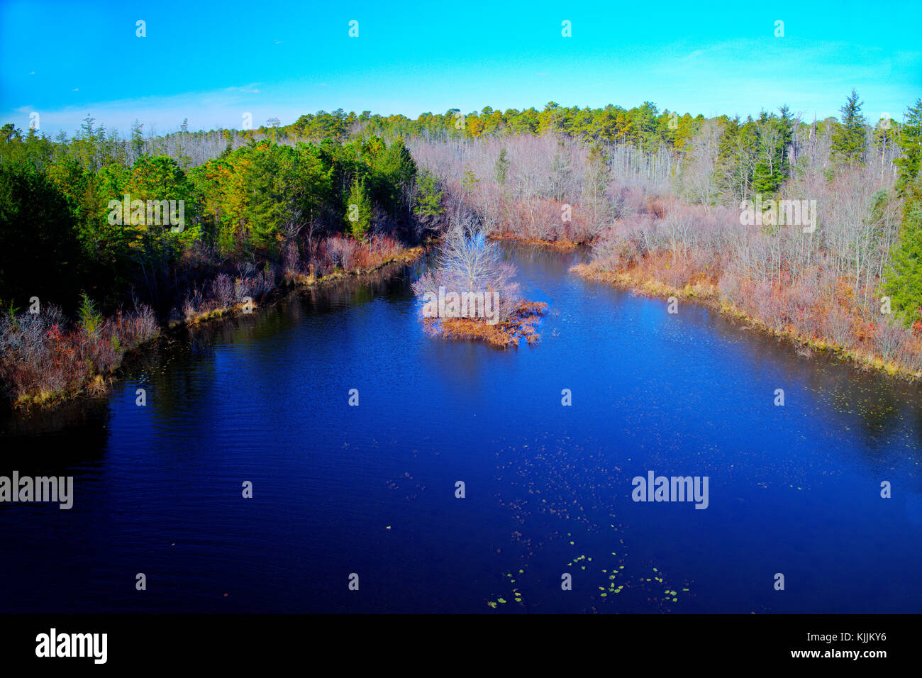 Beautiful Lake Surrounded by Trees Stock Photo - Alamy