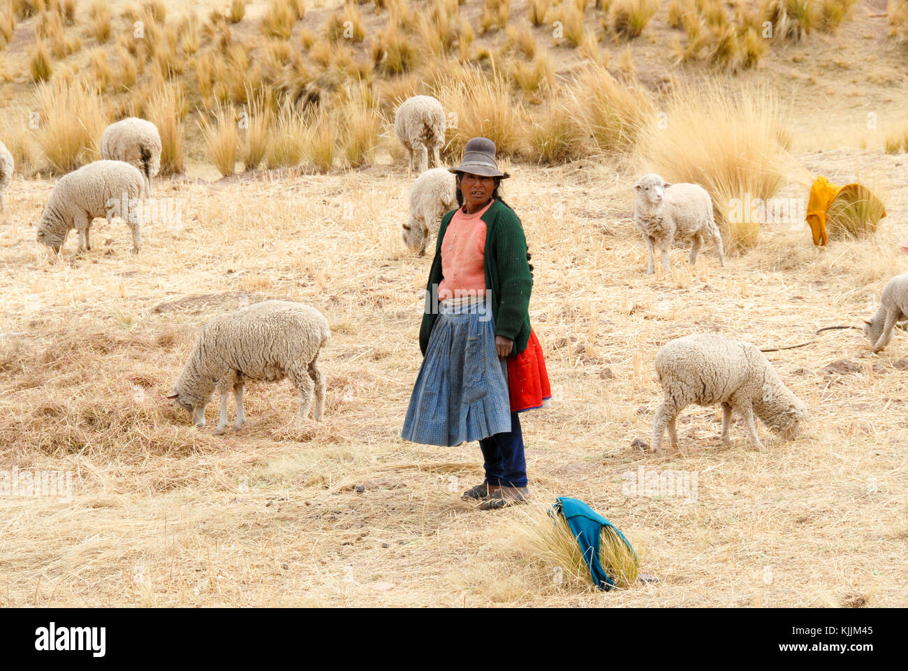 SACRED VALLEY OF THE INCAS, PERU - AUGUST 16, 2006: Shepherd managing ...