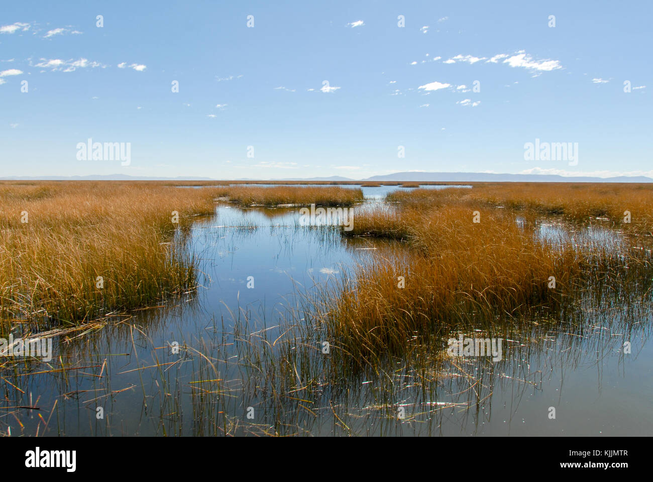 Scenery around Lake Titicaca in Peru, South America Stock Photo - Alamy