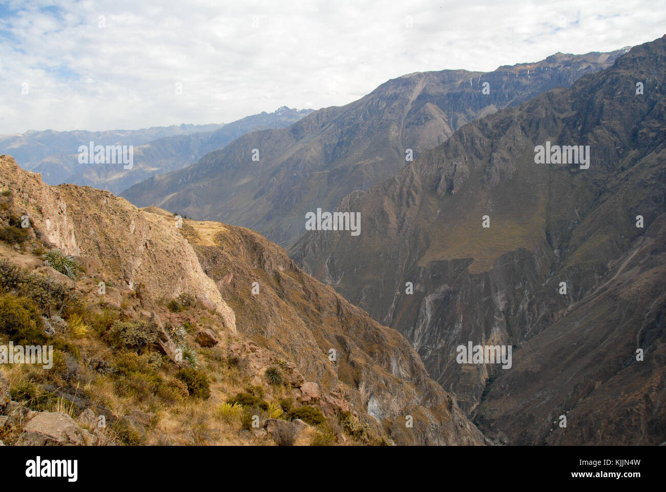 Colca Canyon, Peru, South America. The Incas built farming terraces ...