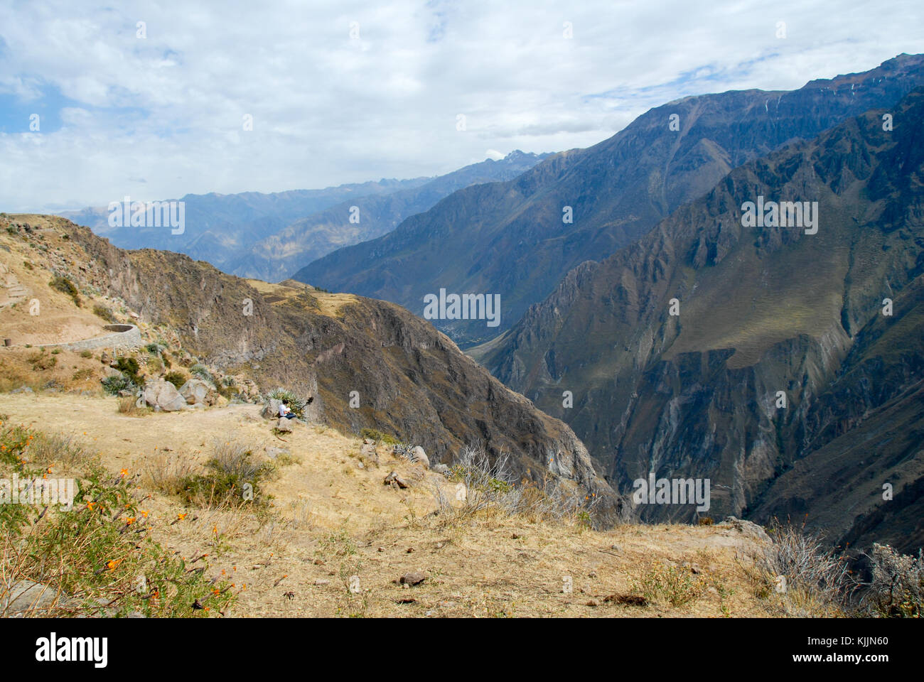 Colca Canyon, Peru, South America. The Incas built farming terraces ...