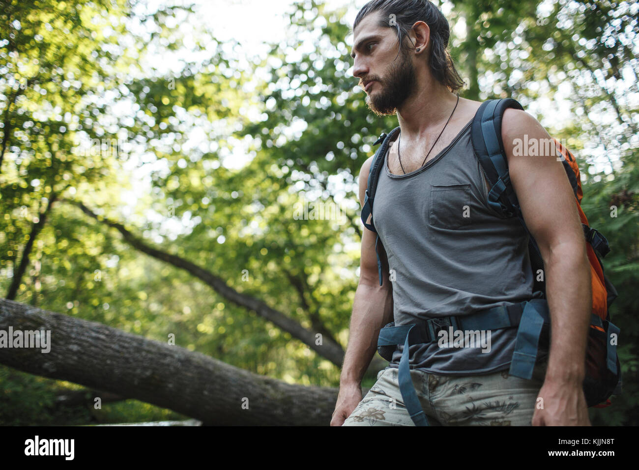 Young man hiking in forest Stock Photo - Alamy